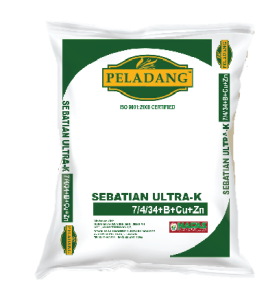 PRODUK PASARAN TERBUKA – MNFSB